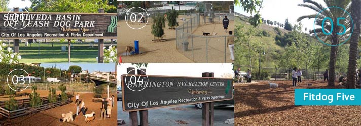 Best Dog Parks in West Los Angeles | Fitdog: Off the Leash