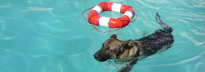 Tips for a safe beach day