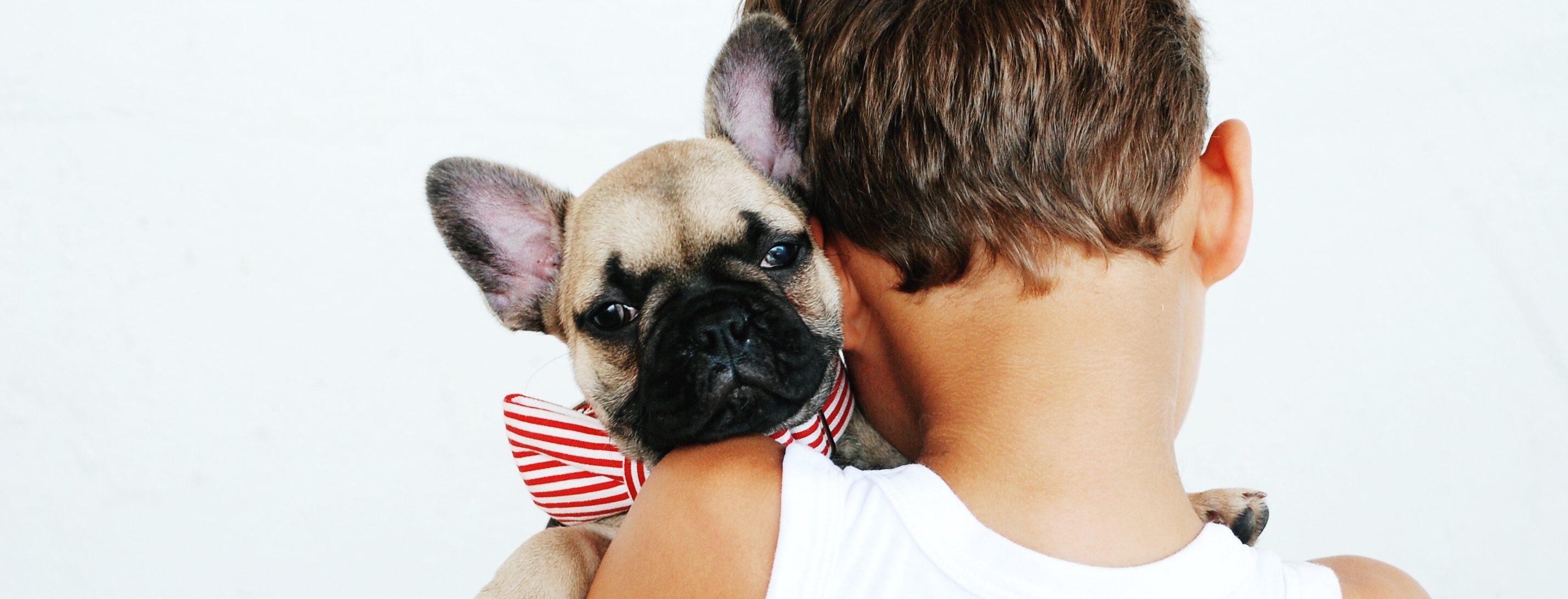 Dogs and kids: How to promote positive interactions with your dog | Fitdog