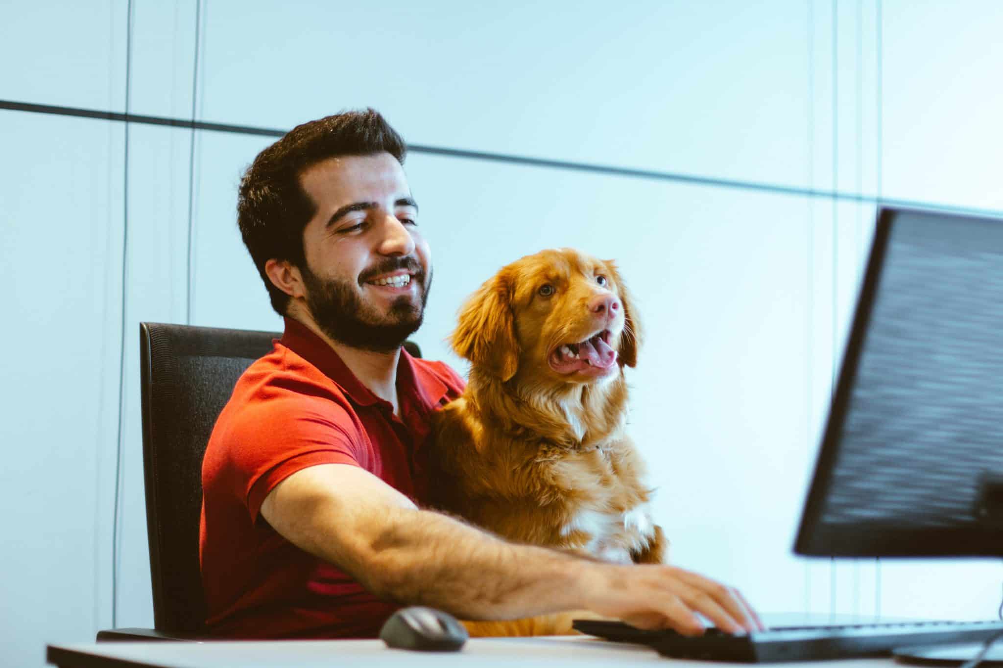 How to know if dog-friendly offices are right for you | Fitdog