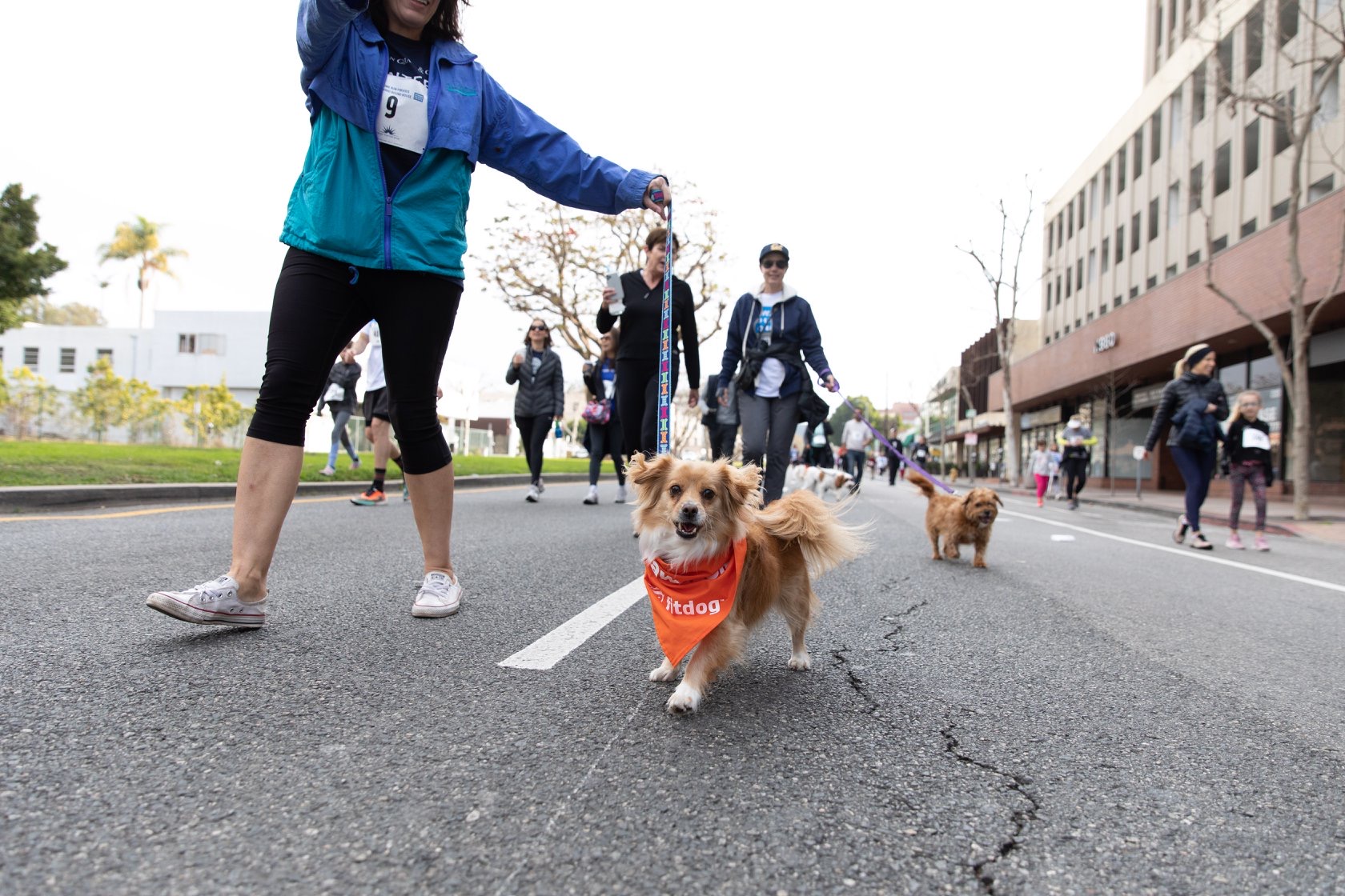 Upcoming dog-friendly events in Los Angeles | Fitdog